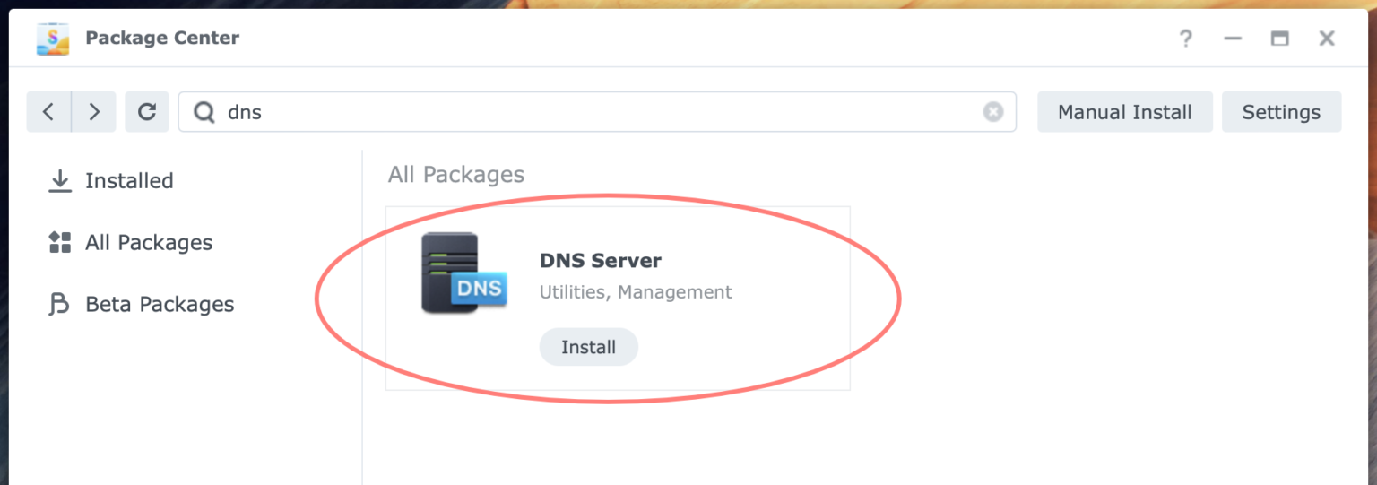 Setting Up DNS Server On Synology NAS - Storage Alchemist